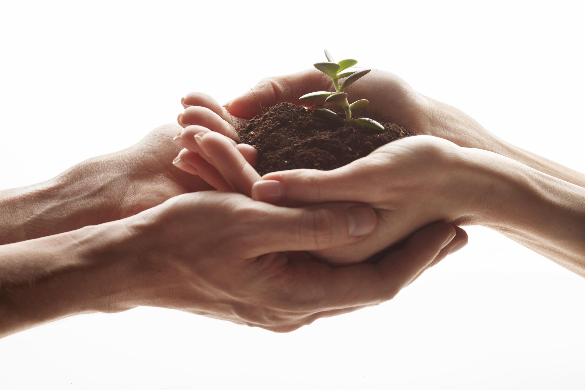 Qatar Charity’s Tayf: Leading Collecting and Distributing Donation